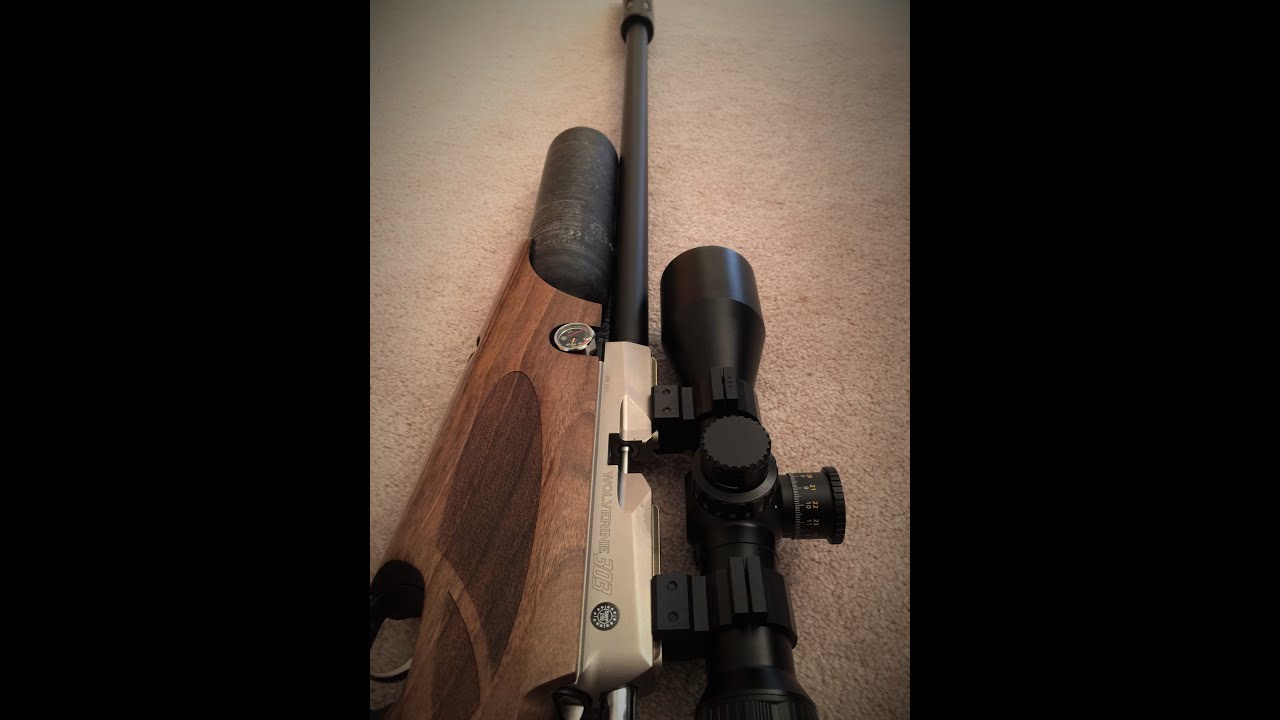 Destroying Targets with the DayState Wolverine 303 Hi Lite Air Rifle ...
