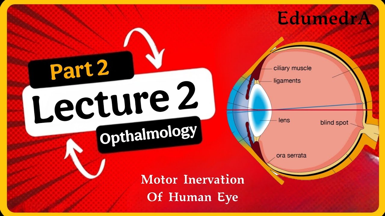 Motor Inervation of Human Eye | Lecture#2 _ Part 1 |Opthalmology|By Dr ...