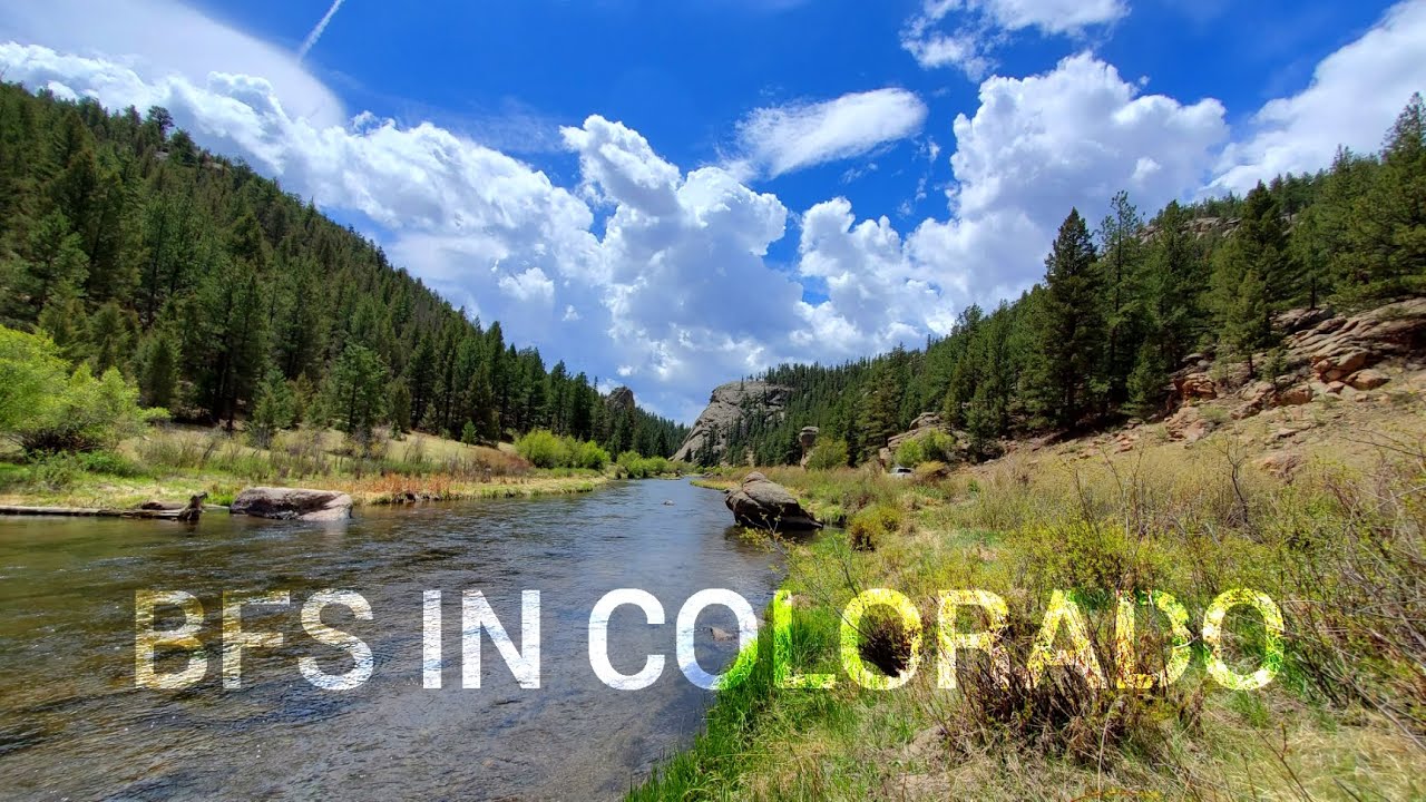 Bait Finesse Invades Fly Fishing Country... Day 1 - YouTube