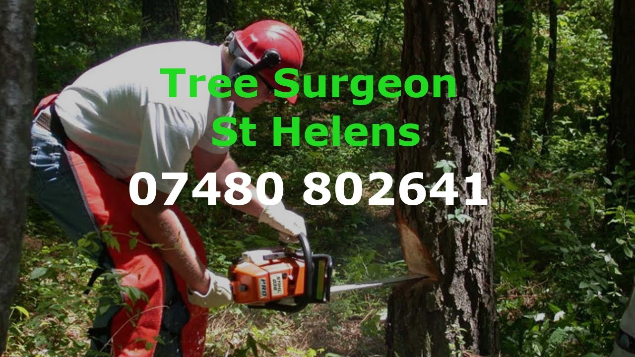 Tree Surgeon St Helens Tree Felling Pruning Stump & Root Removal ...