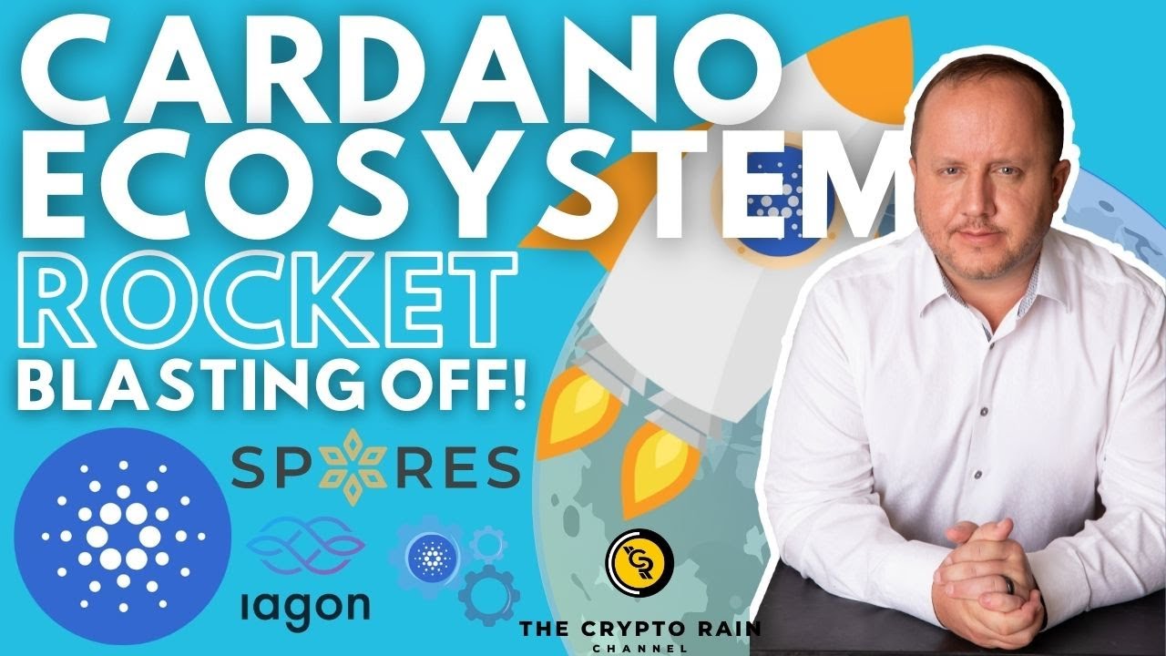 The Cardano Ecosystem Rocket is Blasting Off - YouTube