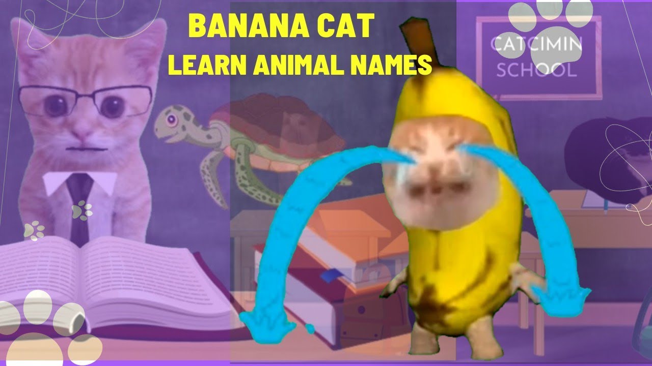 Banana Cat Crying In Class - YouTube