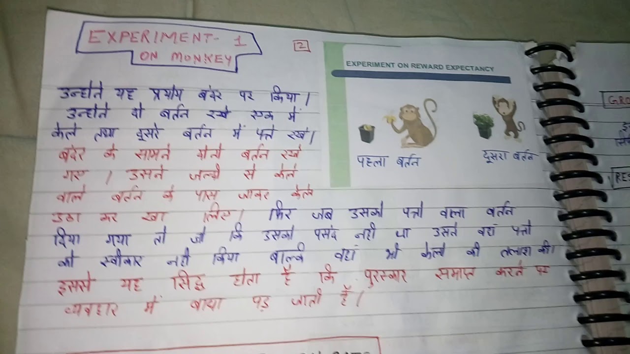 tolman sign learning theory in easy way - YouTube