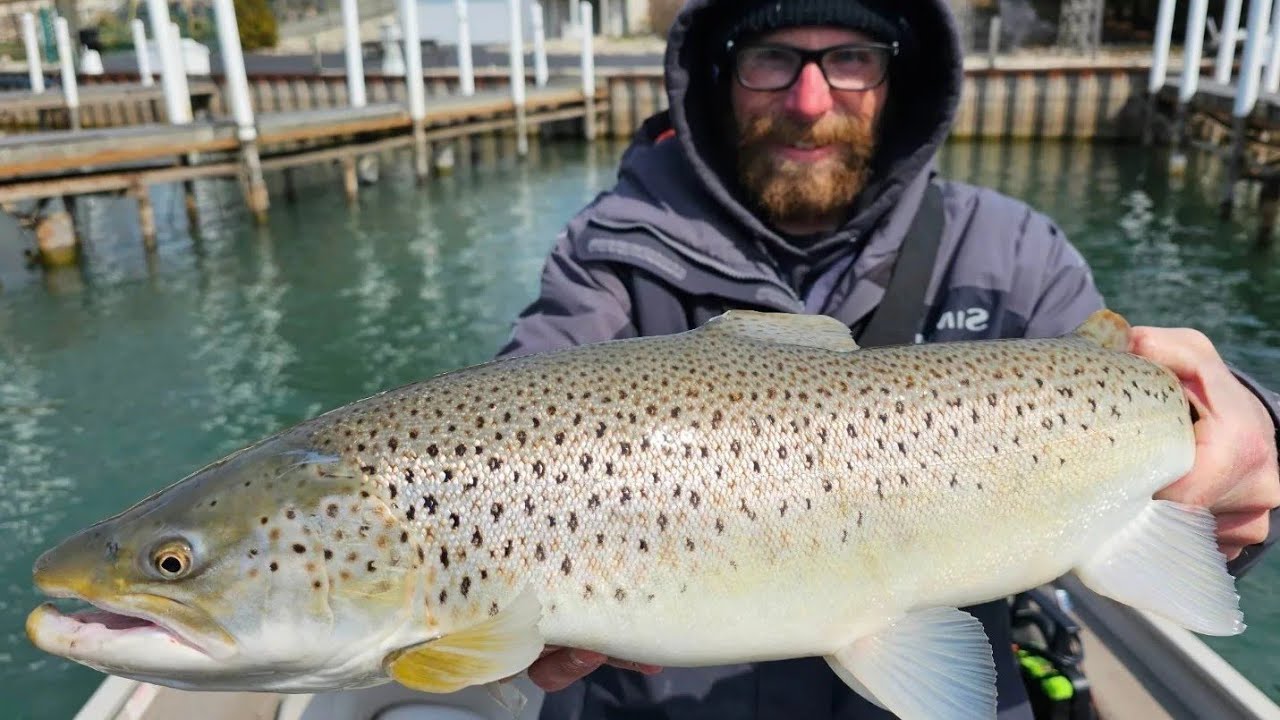 Wisconsin Harbor Brown Trout Fishing - How to Catch Browns - YouTube