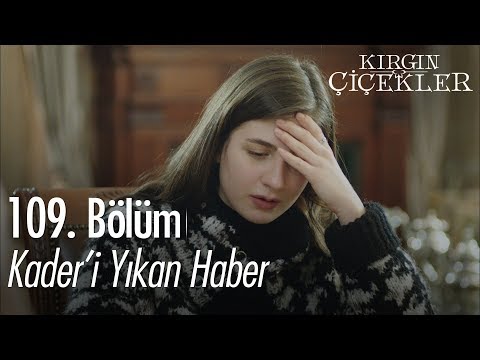 Kader'i yıkan haber - Kırgın Çiçekler 109. Bölüm