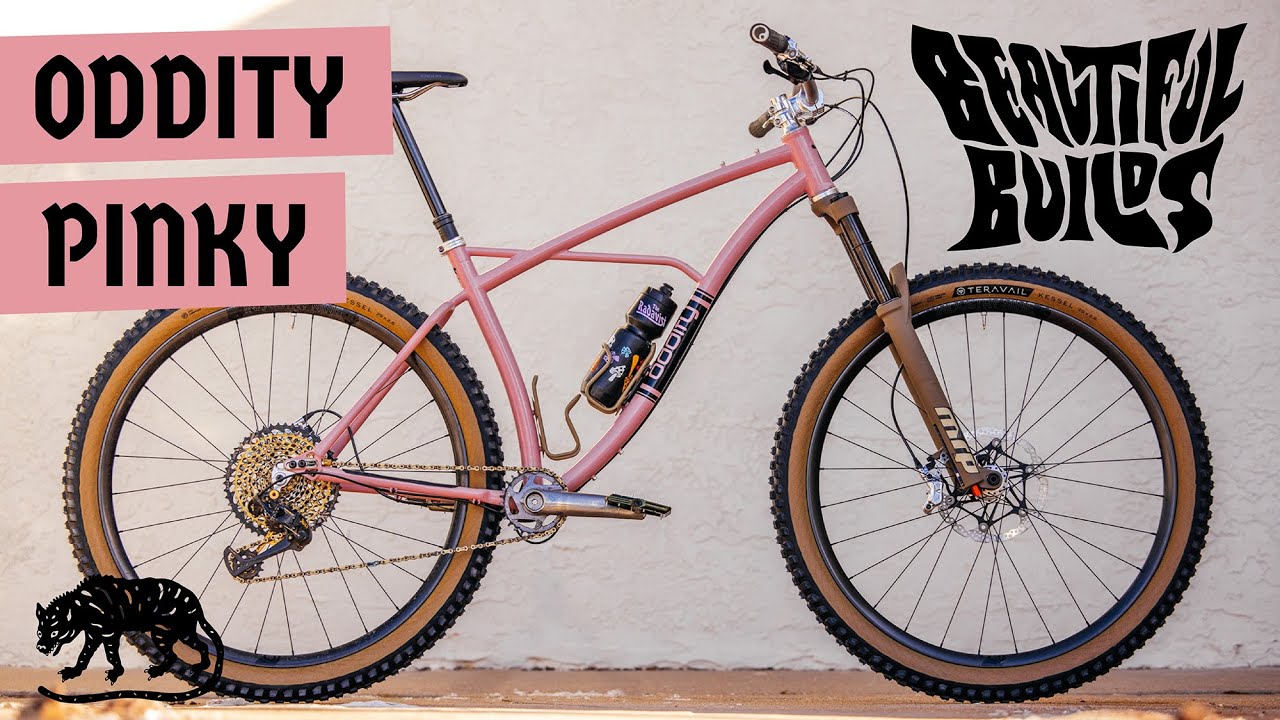Oddity Cycles Pinky 29er Snow Day ｜ Beautiful Builds ｜ The Radavist ...