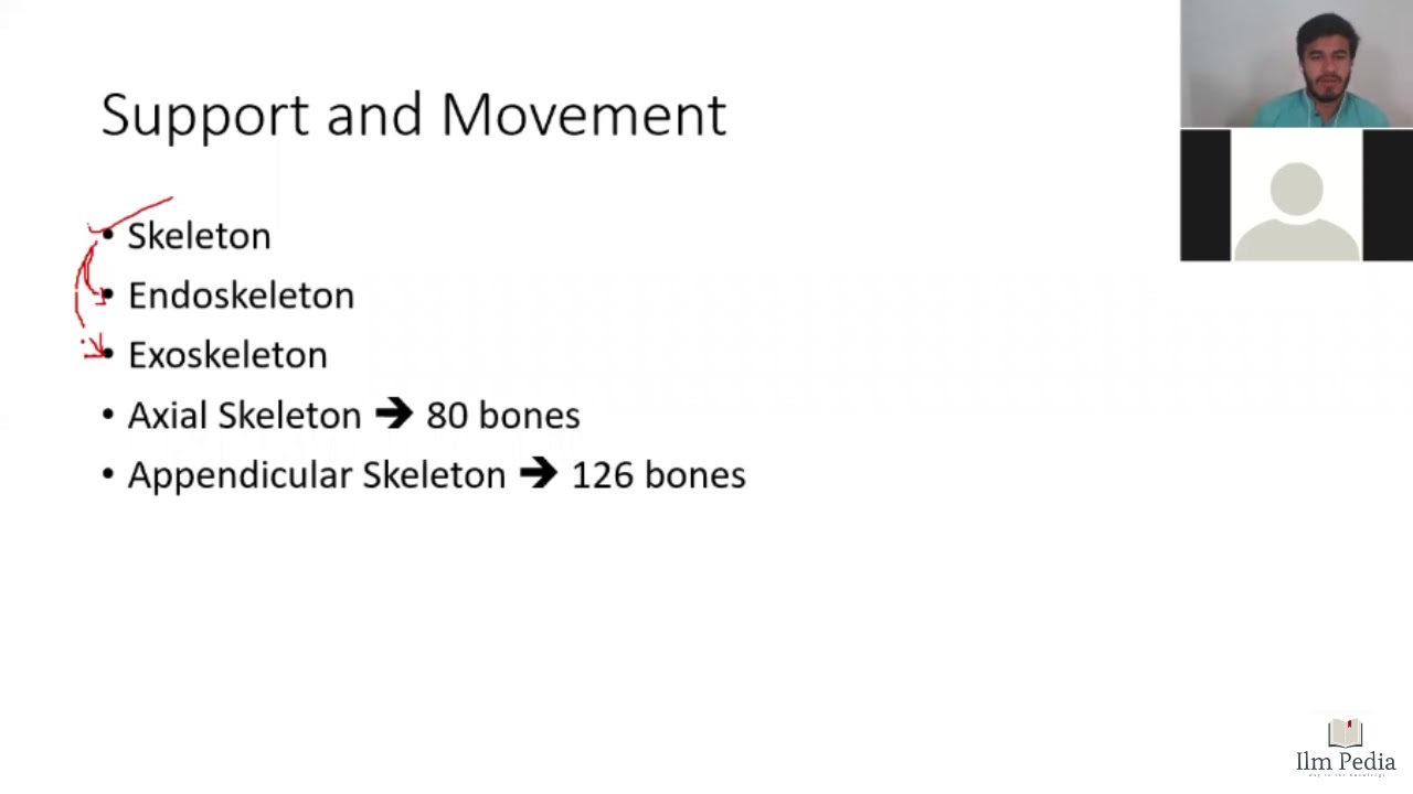 4.1 Support and Movement Lecture 01 Class 10th Biology - YouTube