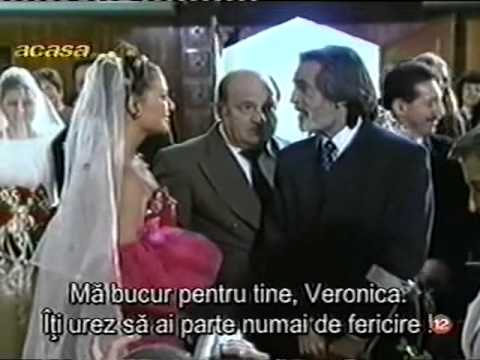 Perro Amor Colombia 136