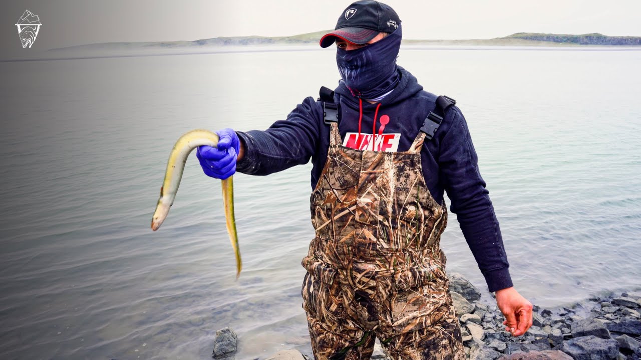#8 Epic Eel Catch in Iceland! Unforgettable Fishing Adventure - YouTube