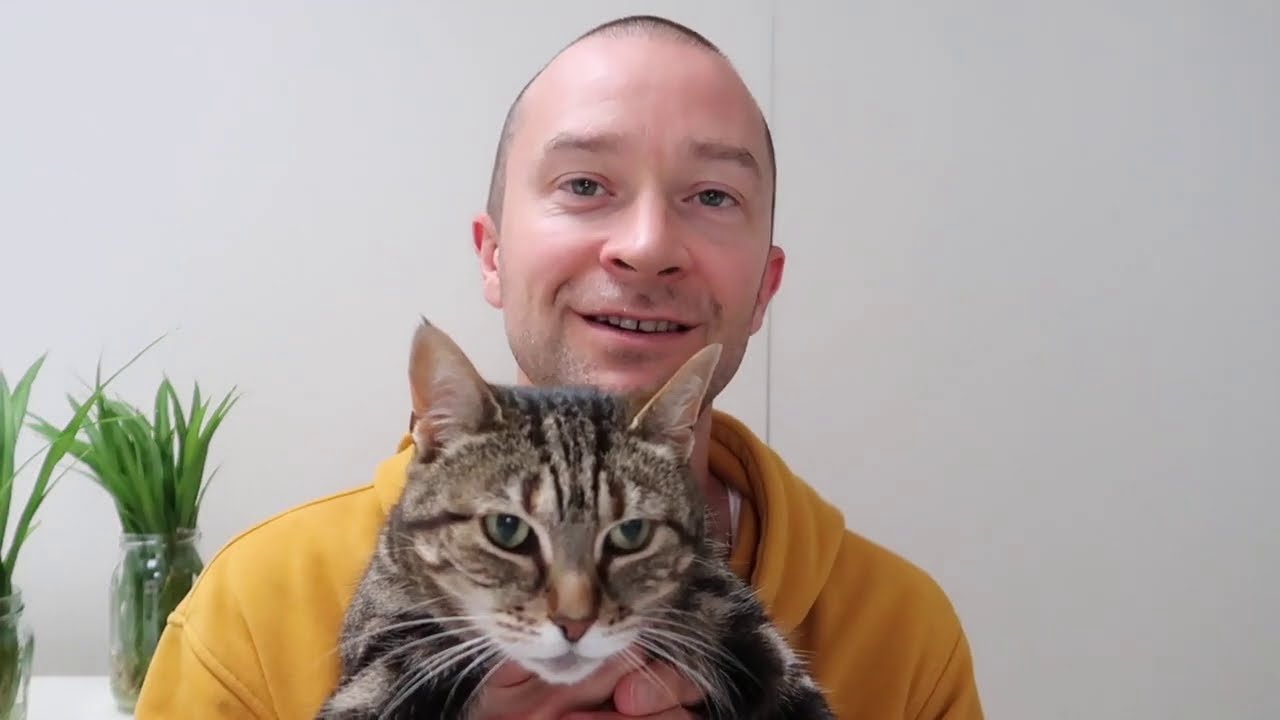 15 Minutes Daily Meditation How Often Should I Practice Day 5 YouTube 15 Minutes Daily Meditation How Often Should I Practice Day 5 YouTube
