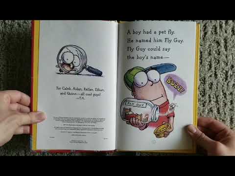 I Spy Fly Guy by Tedd Arnold - YouTube