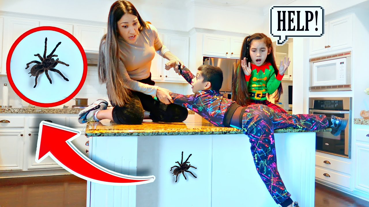 Giant TARANTULA Gets LOOSE In Our New HOUSE! *Scary* | Jancy Family ...