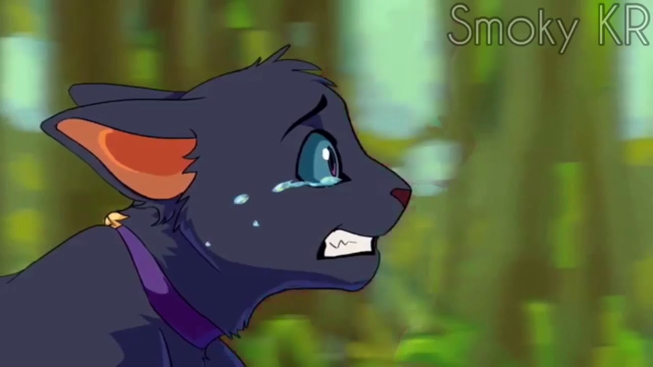 [ ️] ANIMAL IN ME | Scourge Animation Tribute (W A R R I O S C A T S ...