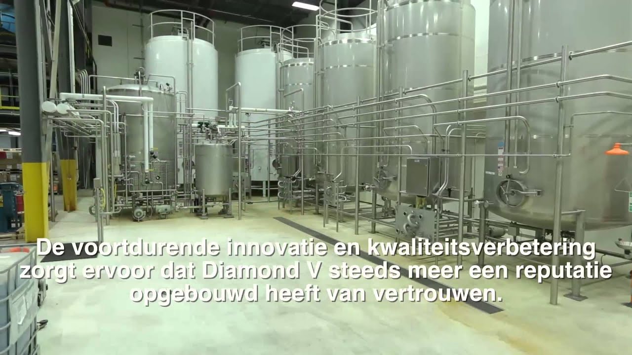 DV Manufacturing Technology Dutch - YouTube