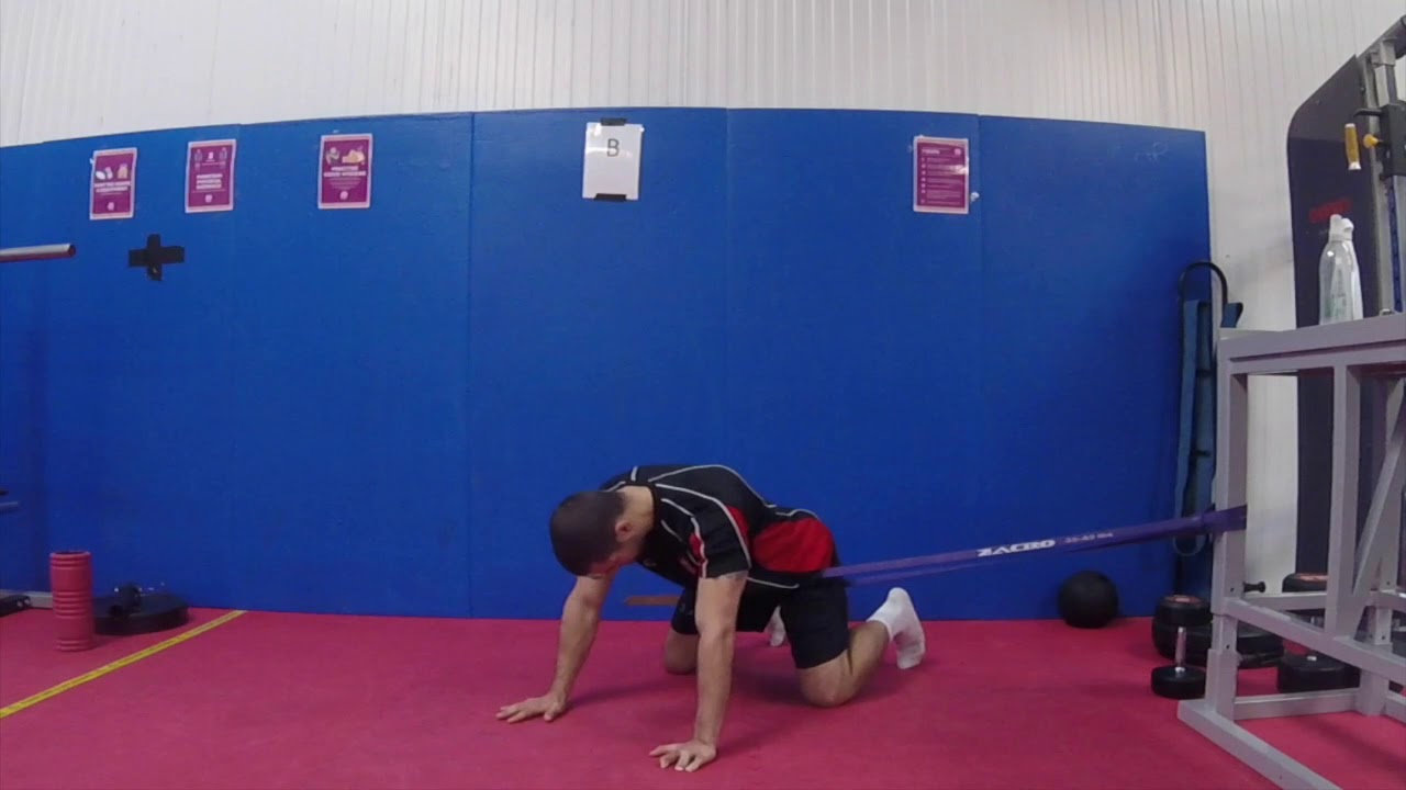 Quadruped Lateral Hip Band Distraction - YouTube