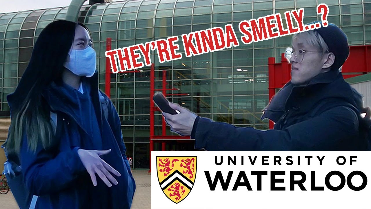 why are waterloo students single? - YouTube