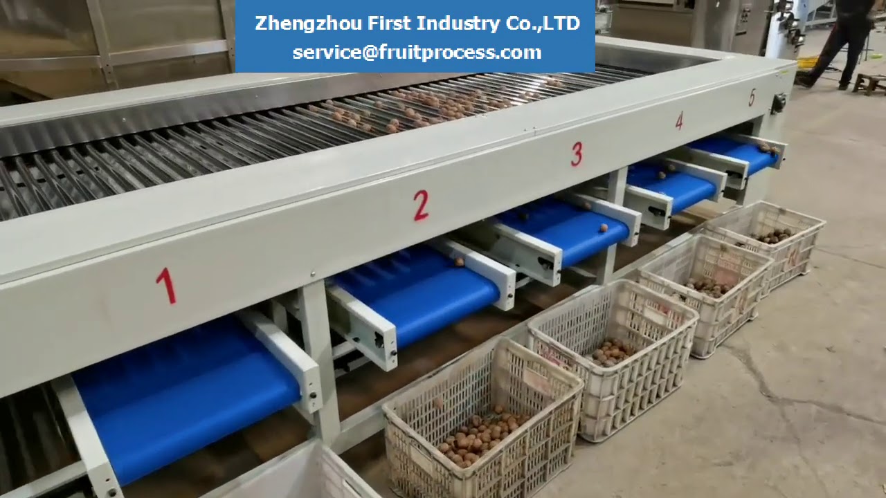 walnut grading machine - YouTube