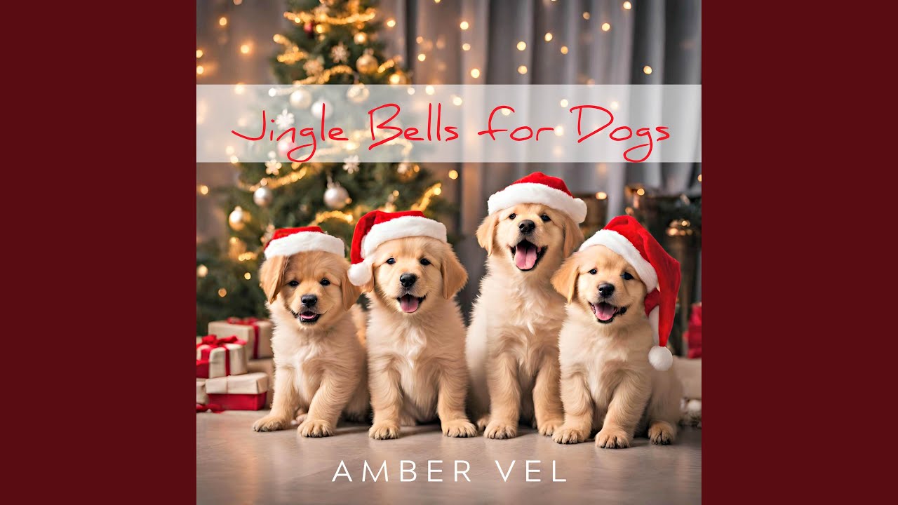 Jingle Bells for Dogs - YouTube