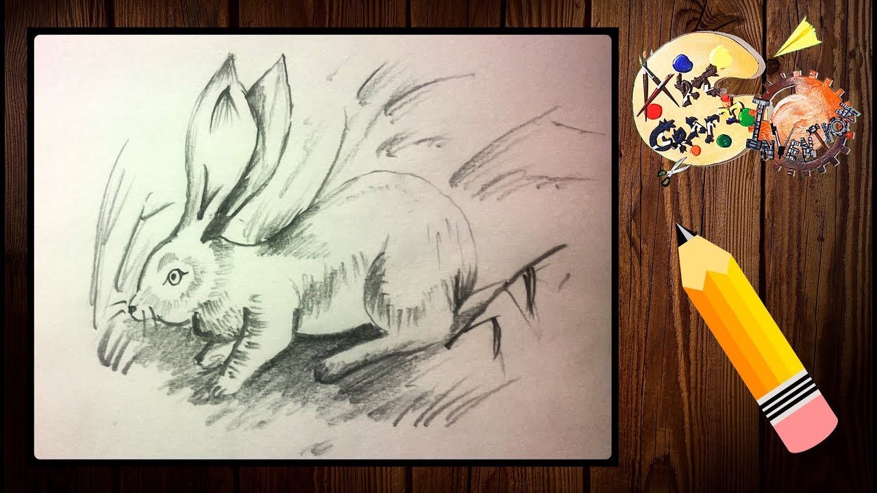 HOW TO DRAW RABBIT || WITH PENCIL SHADING. BY ART CRAFT INVENTION ...