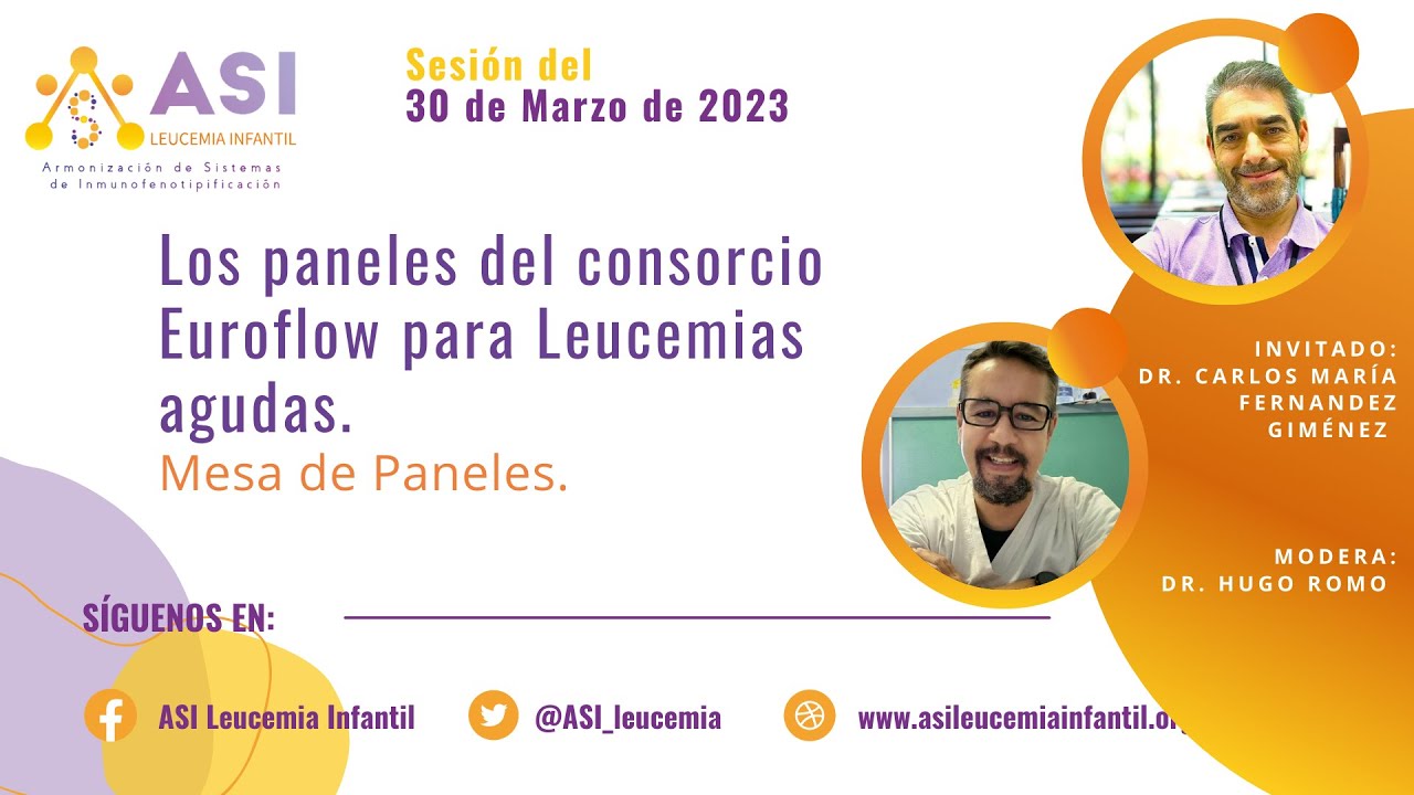 Mesa de trabajo Paneles - "Los paneles del consorcio Euroflow para ...