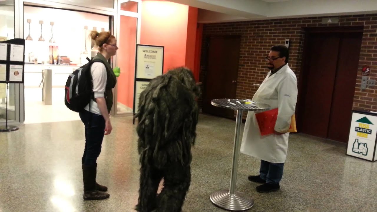 April Fools Wolf part 1 - YouTube