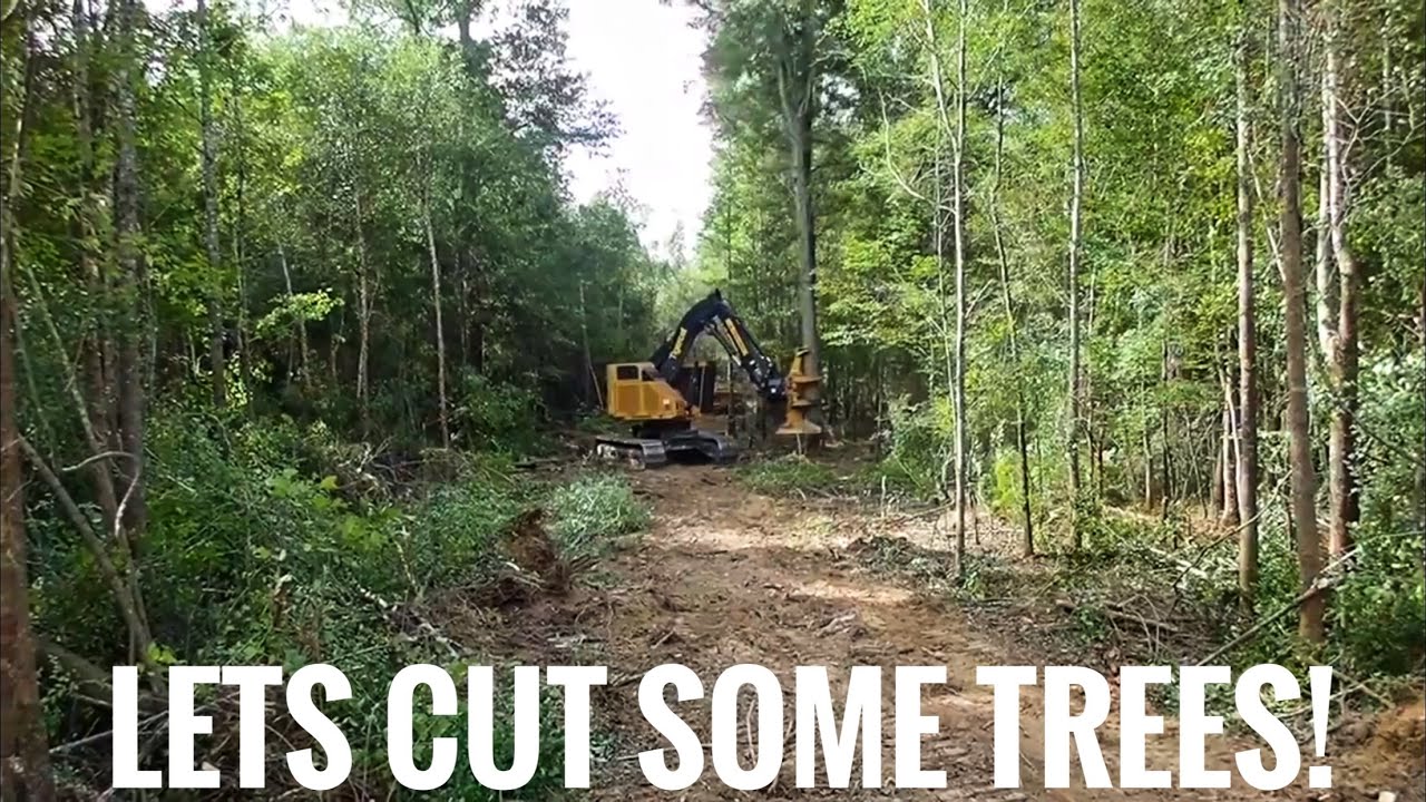 Brand new Tigercat LX830D leveling track tree cutter - YouTube
