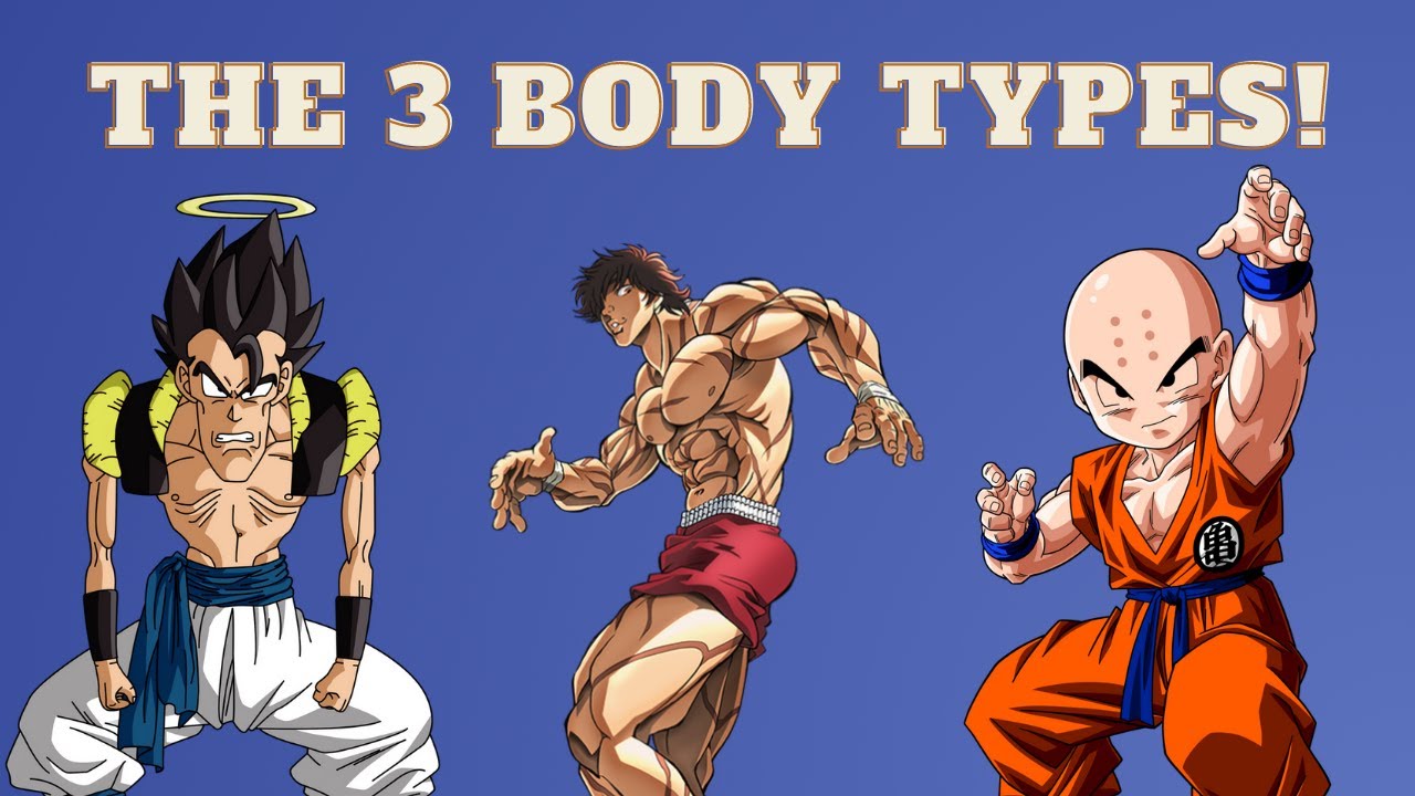THE 3 BODY TYPES! Which one are you? - YouTube