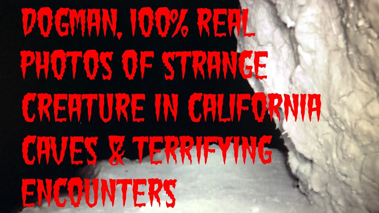 DOGMAN, 100% REAL PHOTOS OF STRANGE CREATURE IN CALIFORNIA CAVES & TERRIFYING ENCOUNTERS - YouTube