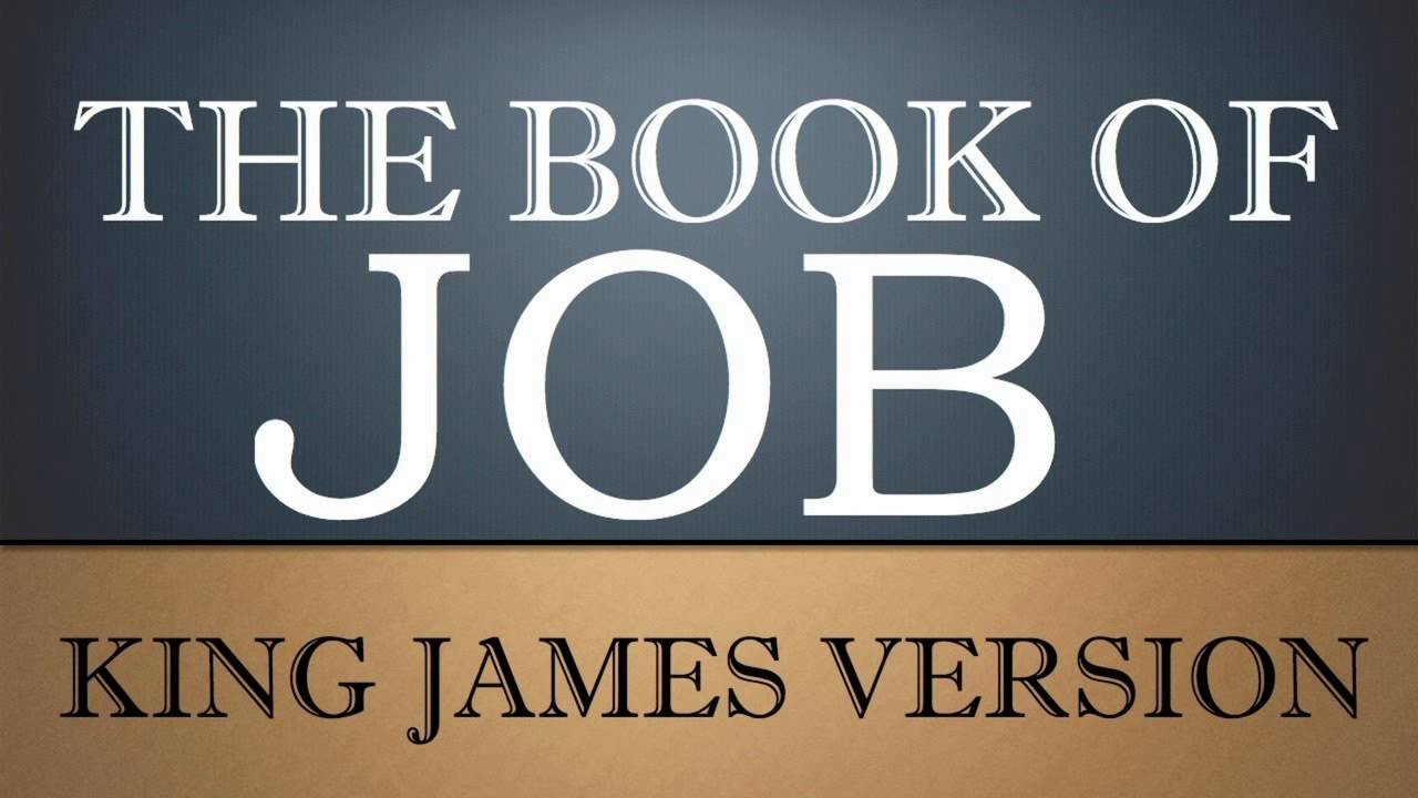 Book of Job - Chapter 33 - KJV Audio Bible - YouTube