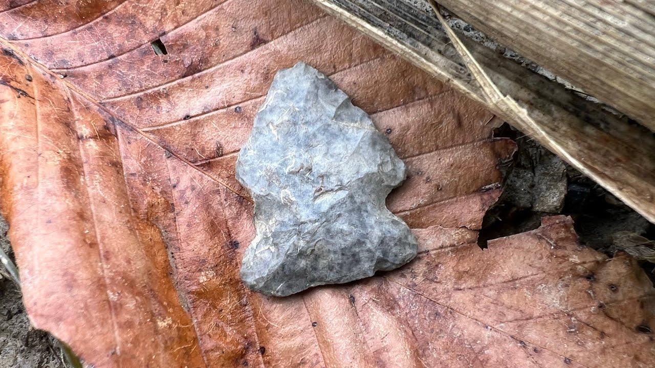 Brewerton Side Notched ~ Pennsylvania Arrowhead Hunting - YouTube
