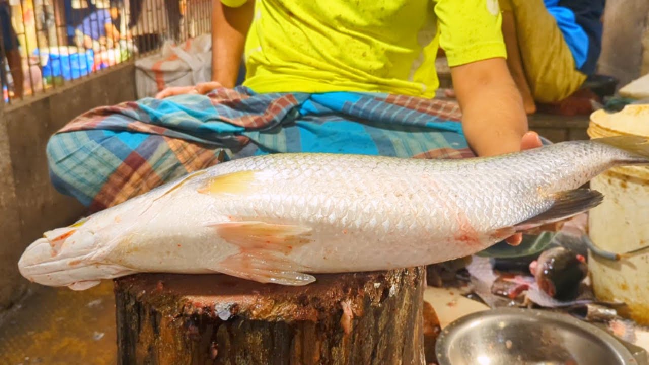 Amazing Huge Bhetki Fish Cutting Live In Fish Market | Fish Cutting ...