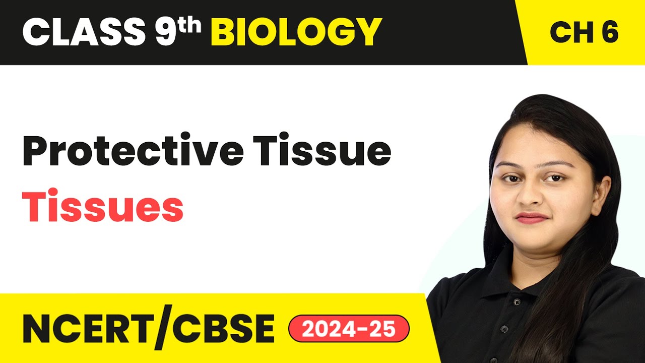Protective Tissue - Tissues | Class 9 Biology Chapter 6 | CBSE 2025-26 ...