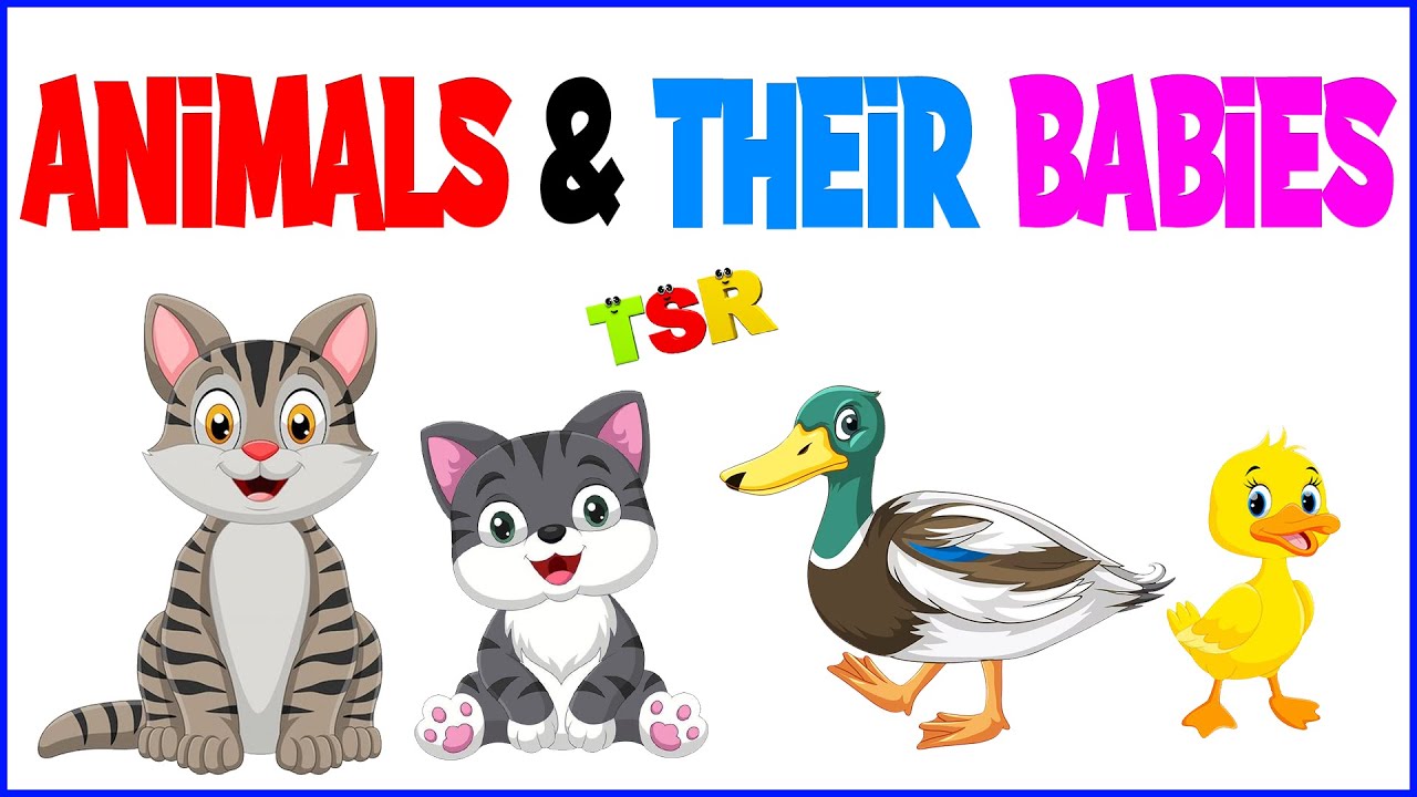 Animals And Their Babies Name | Animals And Their Babies For Kids ...