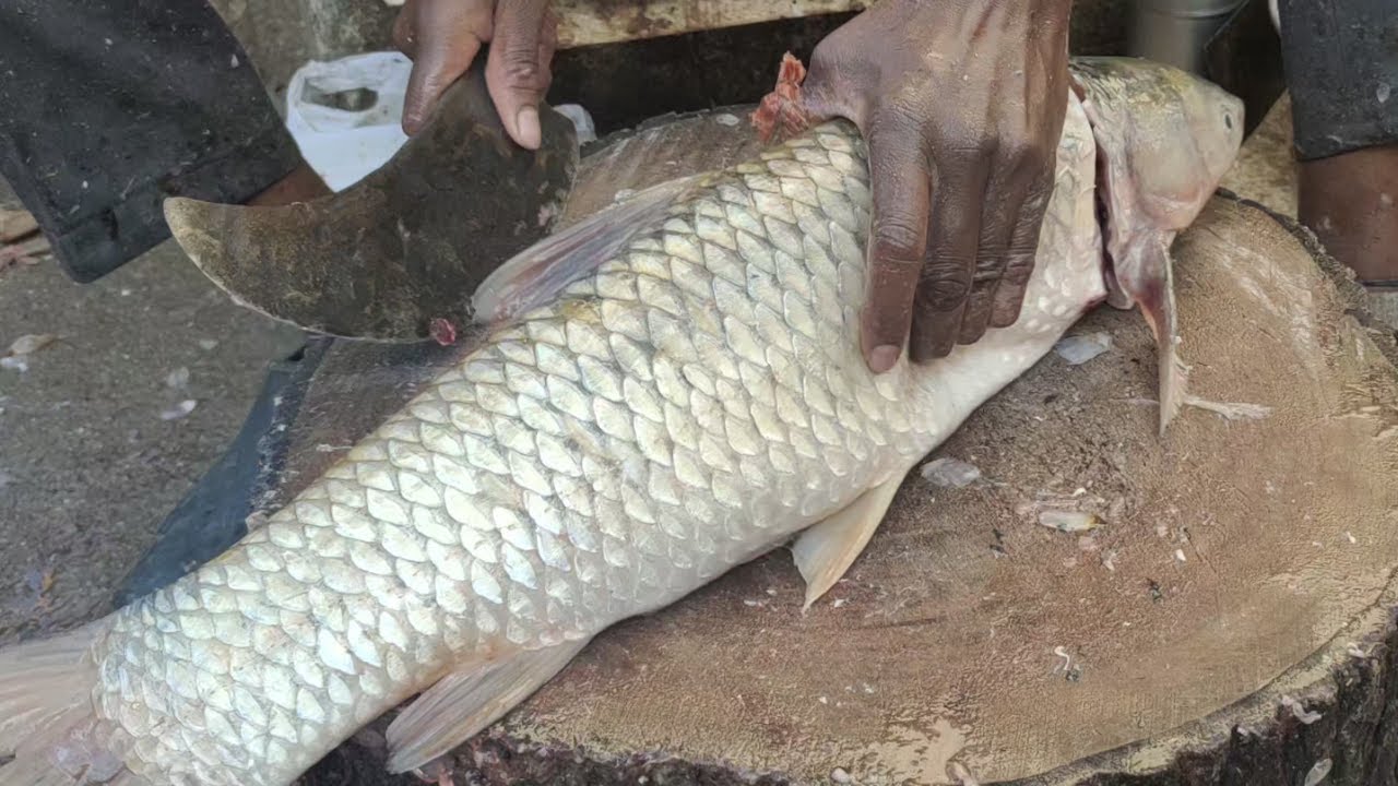 Amazing Grass Carp skin and boneless cutting video | Fish cutting video ...