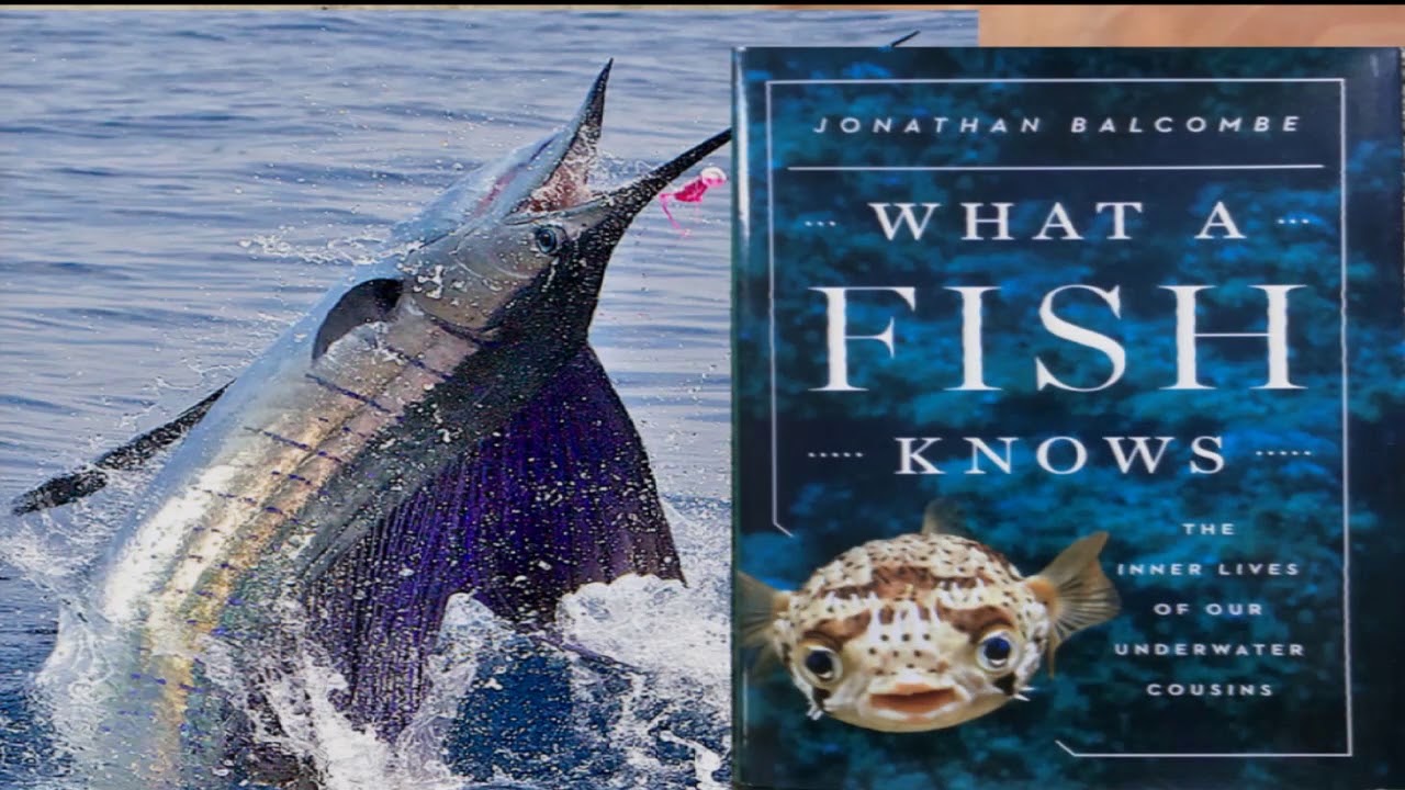 The Major Issues With Fishing and Fish Farms? with Dr. Richard ...