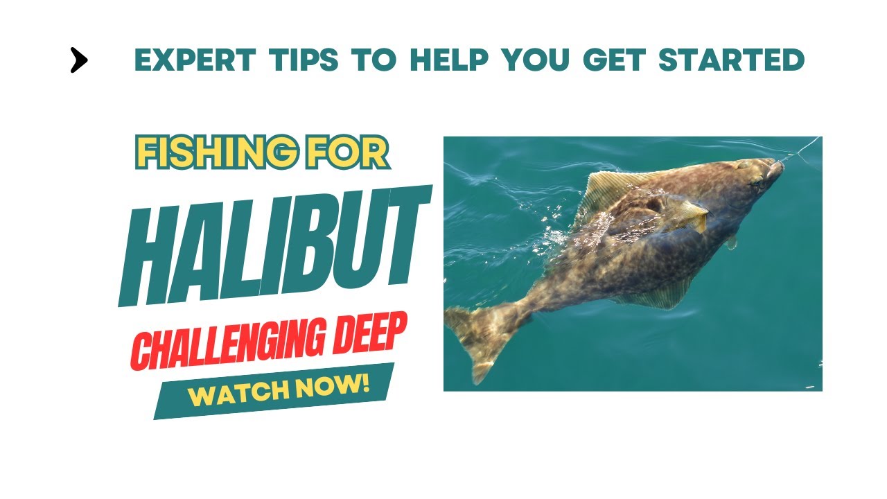 Fishing for HALIBUT? Top Expert Shares Best Techniques - YouTube