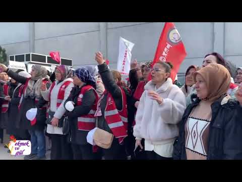 T.T.L. Tütün işçileri greve çıktı