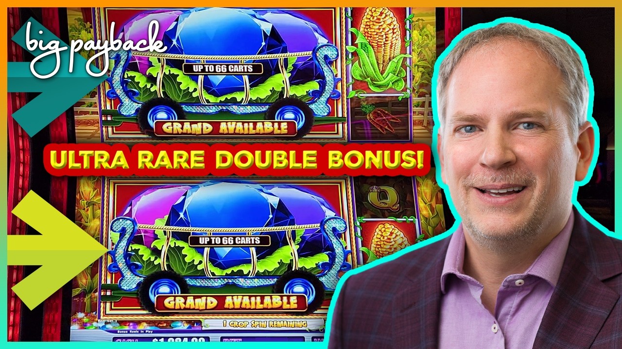 TheBigPayback Slots: Latest & Greatest Casino Wins