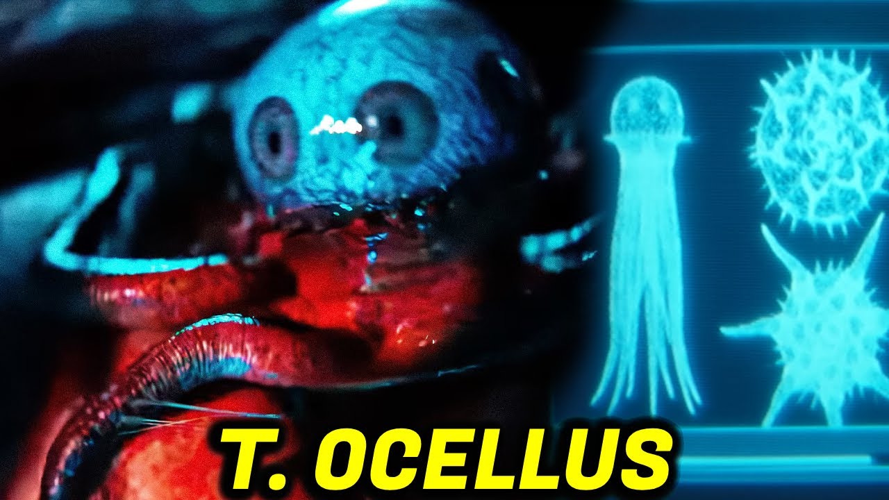 Species 64 T. Ocellus - Alien Earth Explained - YouTube