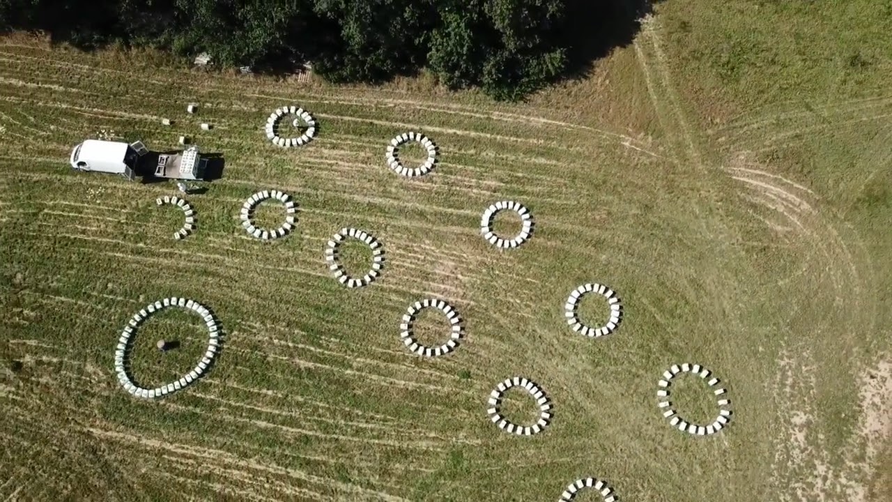 Productie de nuclei . statia de fecundare si reproducere matci buckfast ...