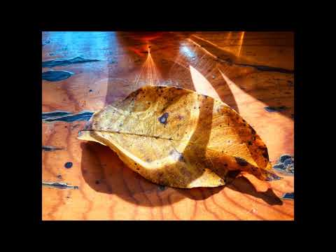 Unut Sen Göğsümü (mahsum SEZİCİ)