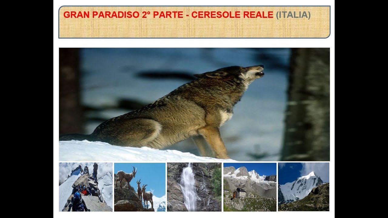 GRAN PARADISO 2° PARTE - CERESOLE REALE (ITALIA) - YouTube