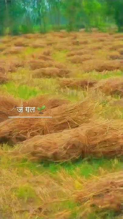 #statusvideo #farmer #farmlife #kishan #splendorlover #atitude #farming ... #statusvideo #farmer #farmlife #kishan #splendorlover #atitude #farming ...