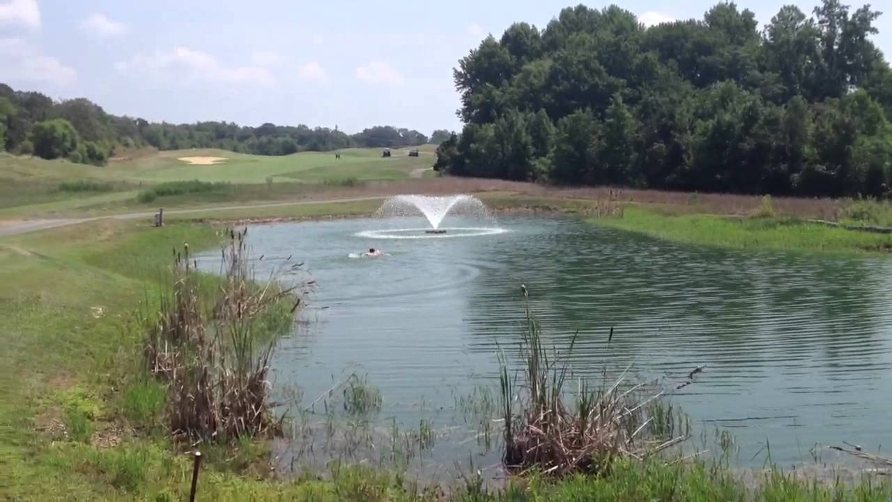Swimming at the golf tourney - YouTube