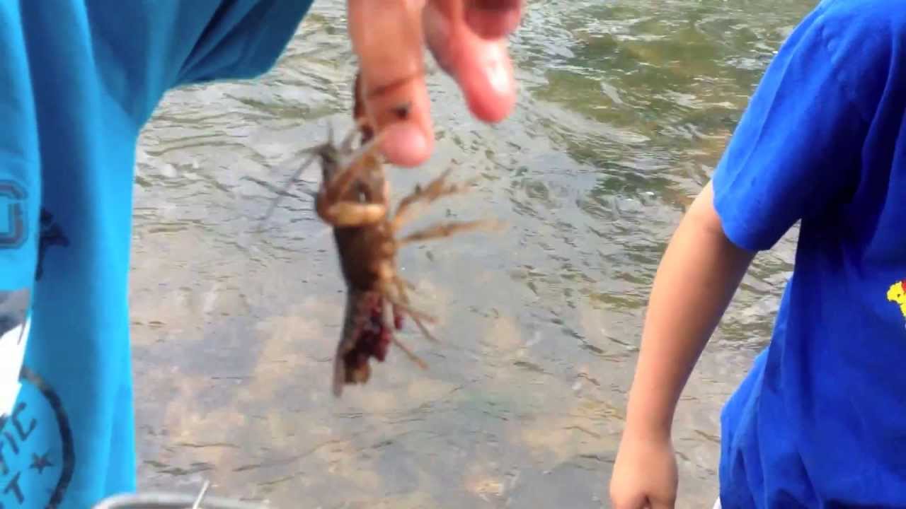 Cherokee Fish Weir Workshop teaches kids about river, heritage - YouTube