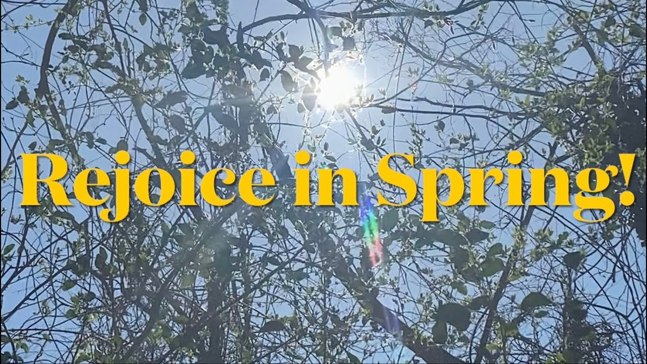 Springtime Inspiration to Get Out and Move: Enjoy the Sights and Sounds ...