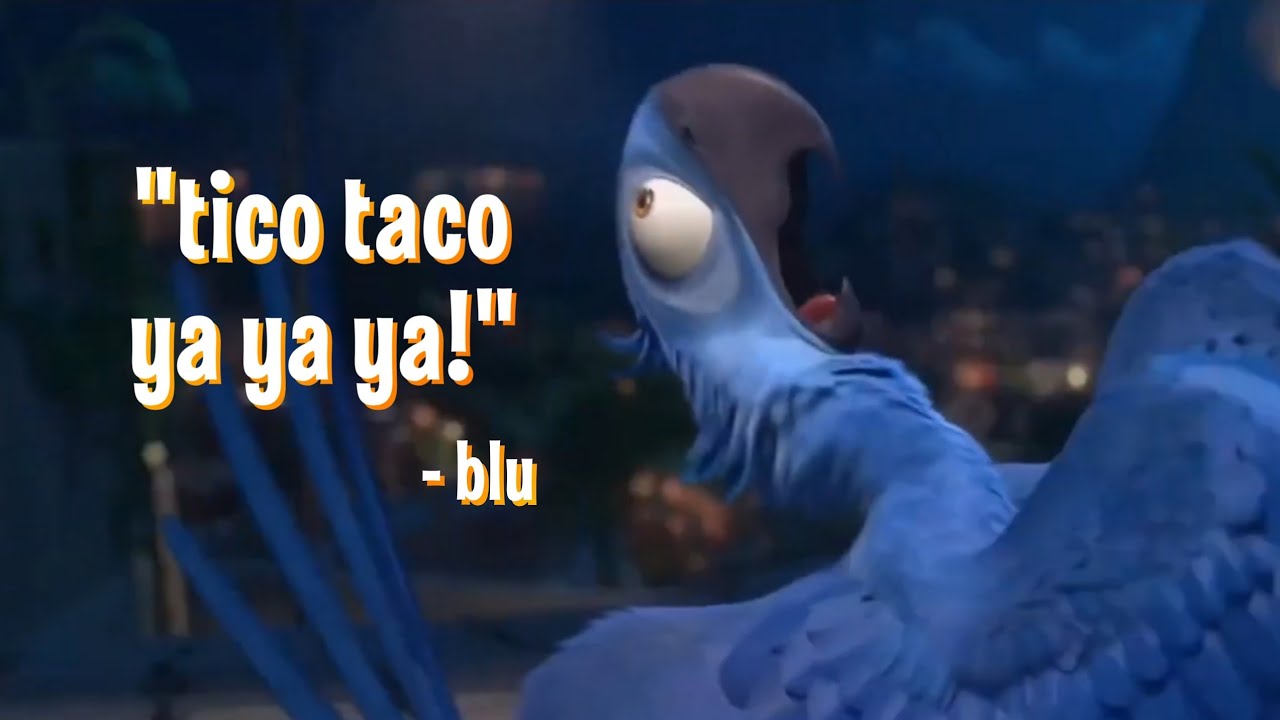 Iconic Quotes From Every Rio Bird! 【Rio Project】 - YouTube