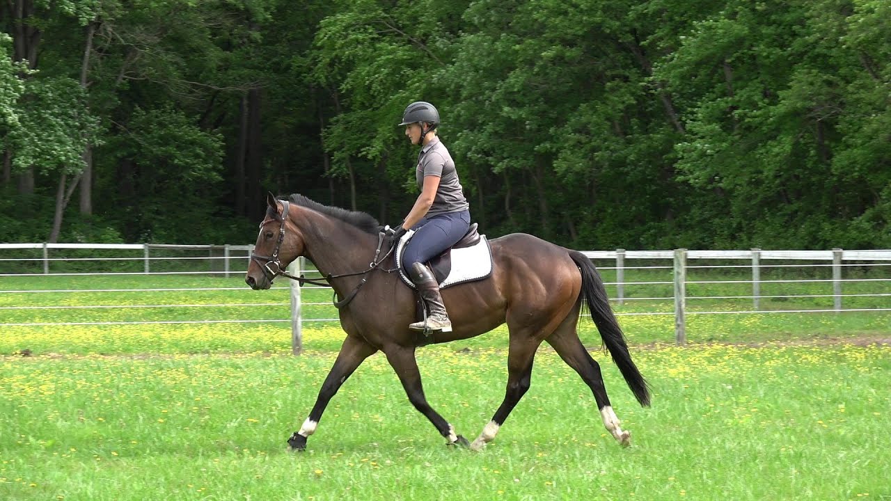 Vegas Rhythm 2nd ride out in field 5 14 24 - YouTube