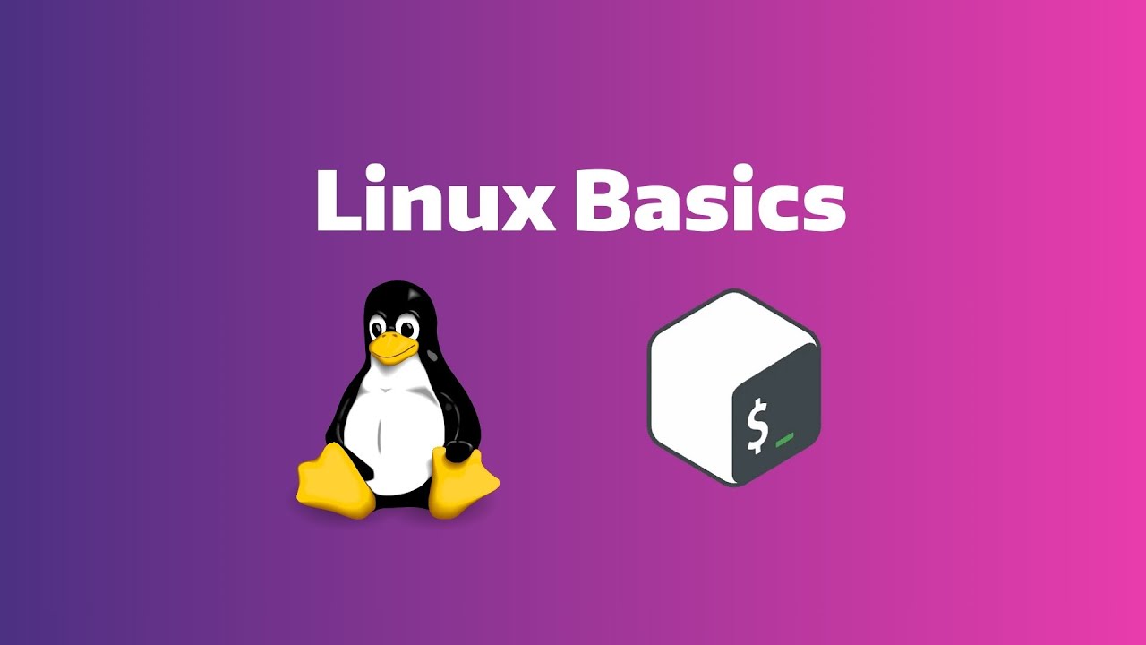 Linux Basics: Command Line Interface - YouTube