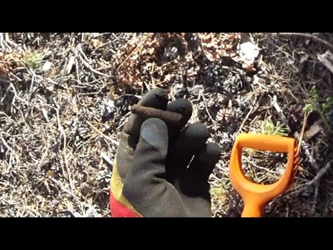 Гильза от холостого патрона - YouTube